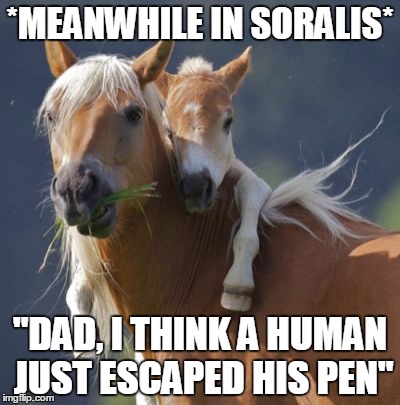 Foal Of Mine Meme - Imgflip