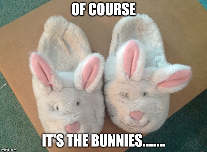 bunnyslippers - Imgflip