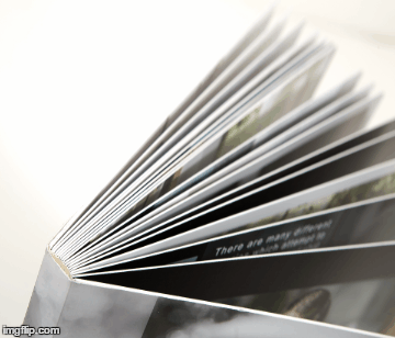 Animated GIF - Imgflip