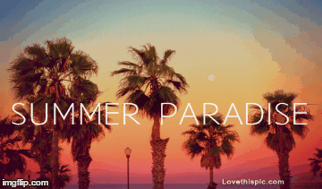 summer gif - Imgflip