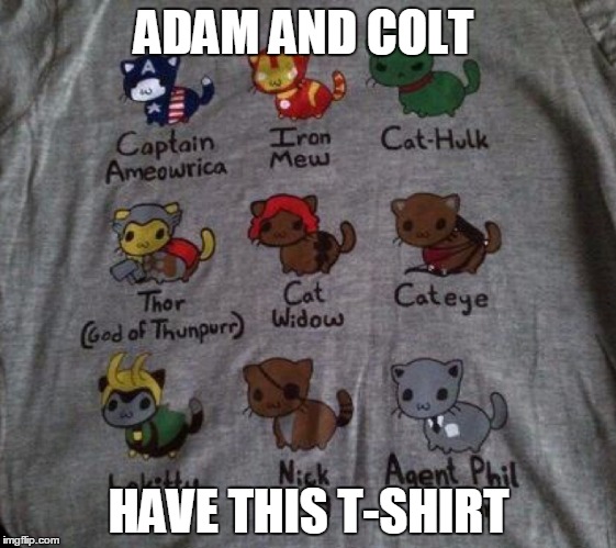 Image tagged in cat parents assembly - Imgflip