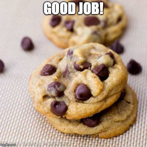 Punny Cookies - Imgflip