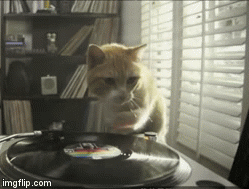 cat dj - Imgflip