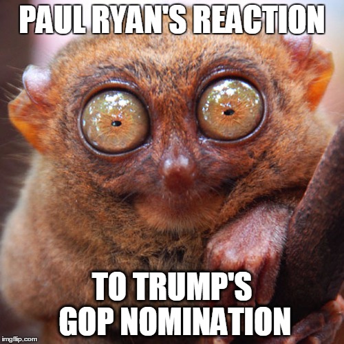 Speaker Ryan's reaction to news of Donald Trump GOP nomination - Imgflip