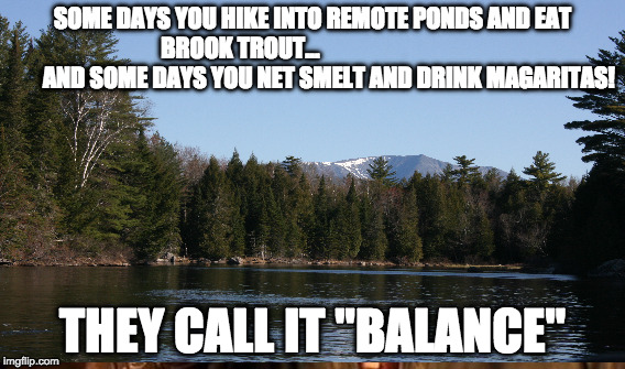 Image tagged in twinmapleoutdoors - Imgflip