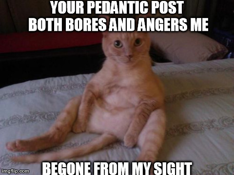 Chester The Cat Meme - Imgflip