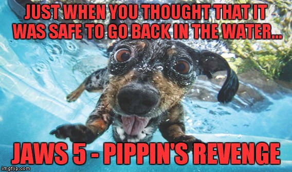 Help caption this meme. I love the pic but couldn't think of anything ...