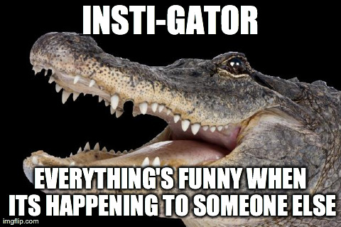 Image tagged in insti-gator - Imgflip