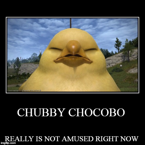CHUBBY CHOCOBO - Imgflip