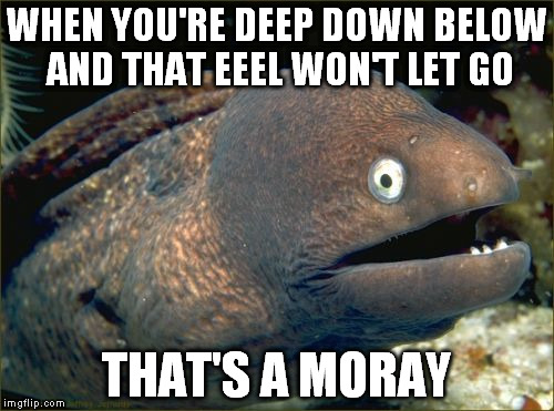 Bad Joke Eel Meme - Imgflip