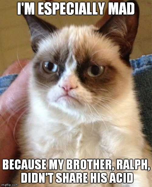 Grumpy Cat Meme - Imgflip