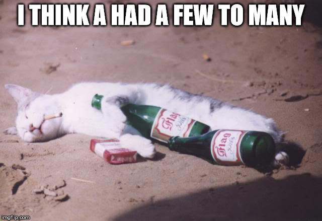 Grumpy cat drunk - Imgflip