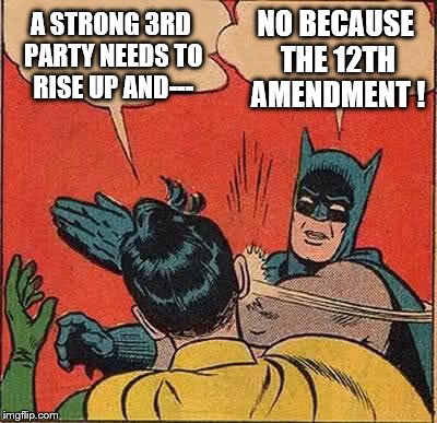 12th Amendment Meme Artwork | A Moment In History