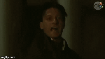 Der Untergang Fegelein