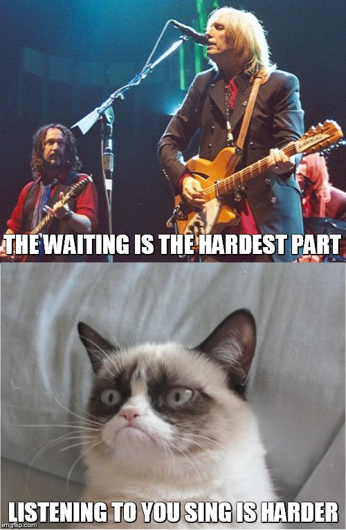 Free Fallin' Grumpy Cat - Imgflip