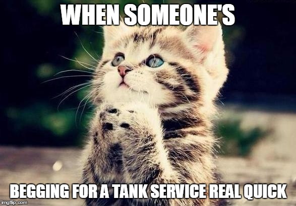 Cat Begging - Imgflip