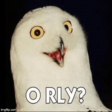 O Rly? - Imgflip