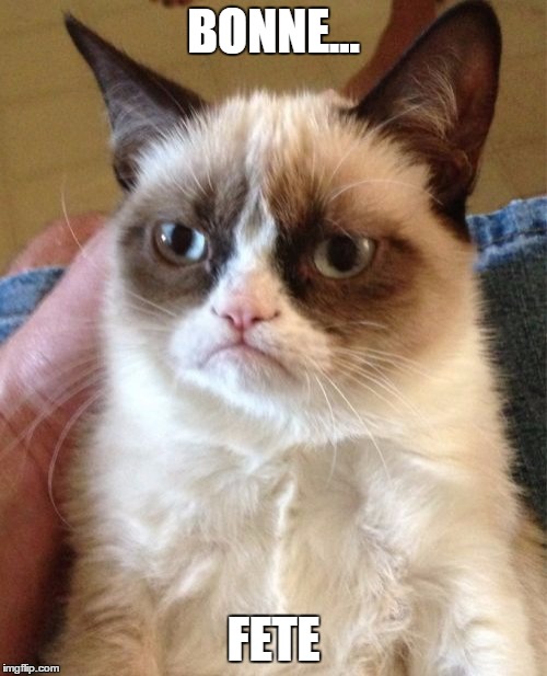 Grumpy Cat Meme - Imgflip