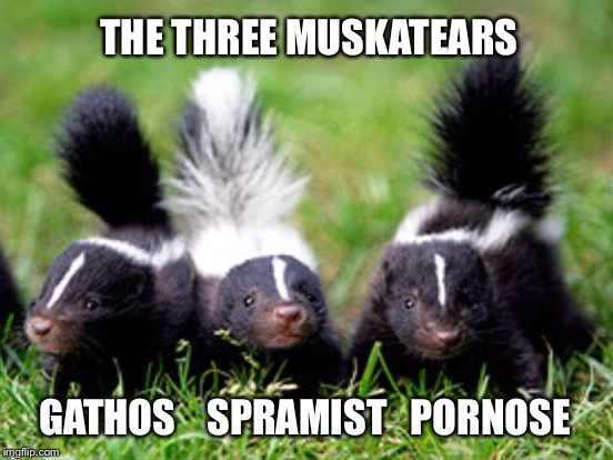 They're Real Skunks - Imgflip