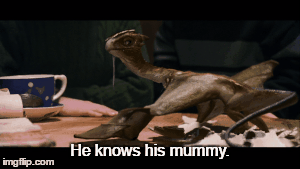 Hagrid and Norbert - Imgflip