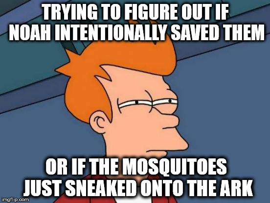 Futurama Fry Meme - Imgflip