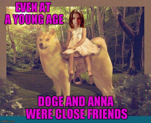 Bad Pun Doge - Imgflip