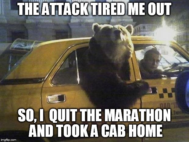 What's Happening Bear - Imgflip