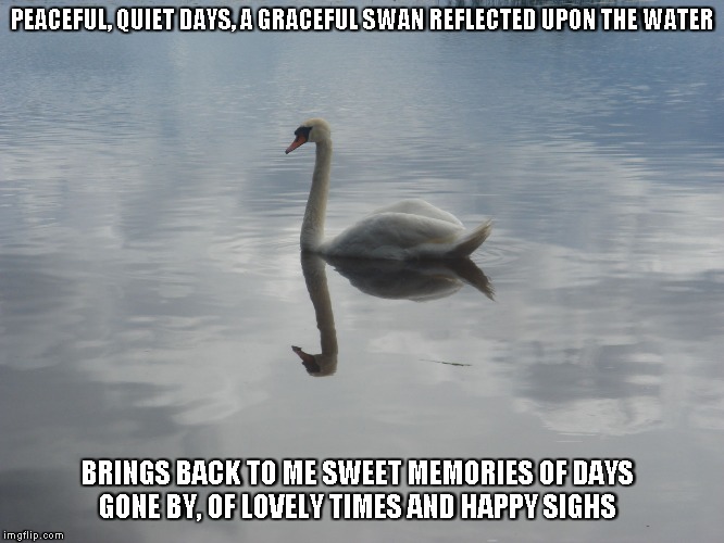 Reflections - Imgflip