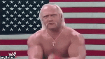 Hulk Hogan says: - Imgflip