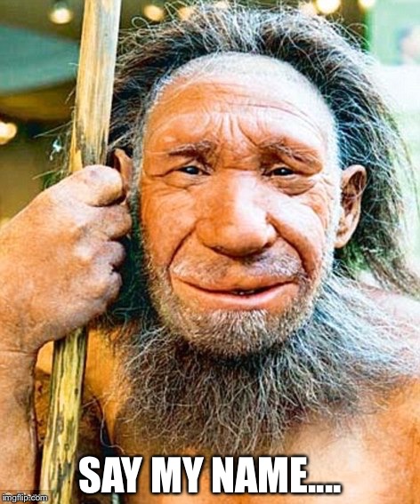 Image tagged in neandertroll - Imgflip