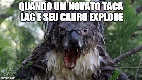 Angry Koala Meme - Imgflip