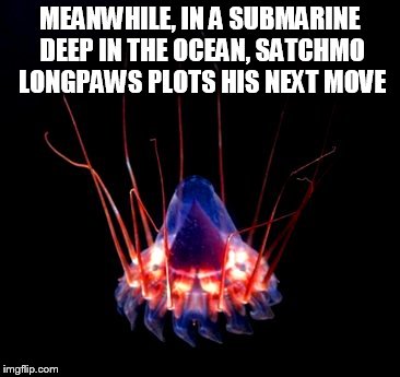 Deep Ocean Memes