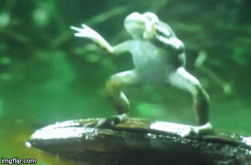 Toadly cool... - Imgflip