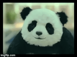 When you know panda's are endangered but don't do anything to help them ...