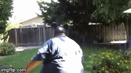 RUN JOEY, RUUN!! - Imgflip