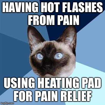 Chronic illness cat - Imgflip