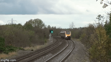 Bird hit by train - Imgflip