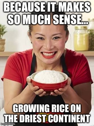 Ricenosense1 - Imgflip