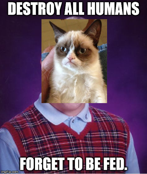 Grumpy Cat Meme - Imgflip