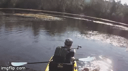 Attack of the goose - Imgflip