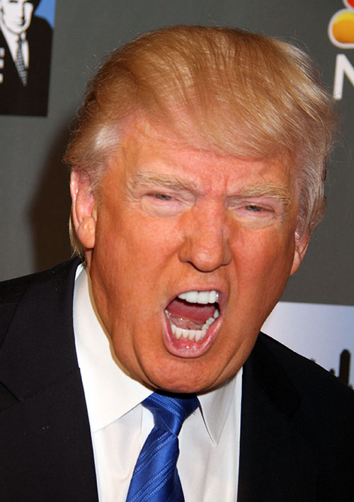 Trump Yelling Memes Imgflip