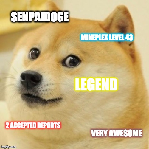 Doge Meme - Imgflip