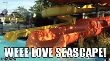 Weeee Love Seascape - Imgflip