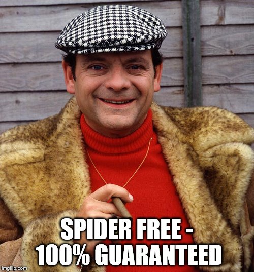 No spiders spotted so far... - Imgflip