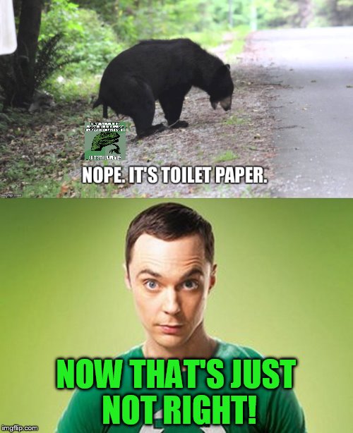 Philosoraptor Meme - Imgflip