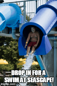 Drop In for a Swim at Seascape! - Imgflip