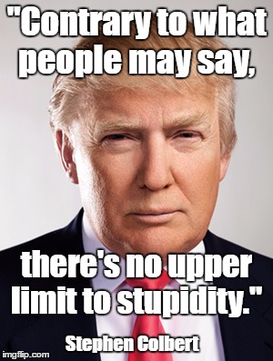 Donald Trump - Imgflip