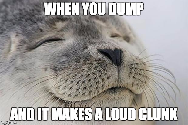 Satisfied Seal Meme - Imgflip