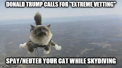 Skydiving Cat - Imgflip