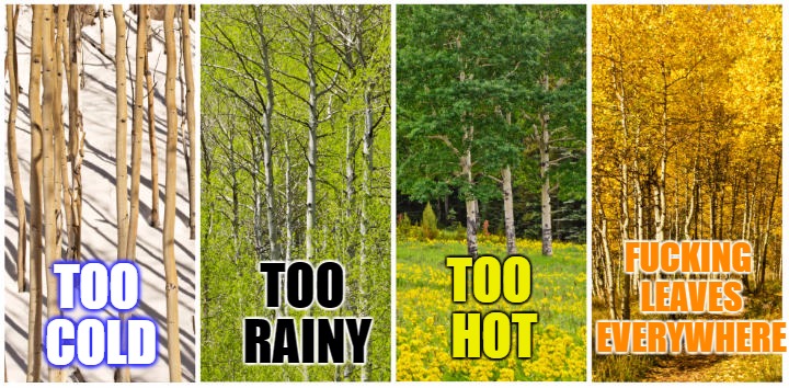 Im not the only one who hates fall right? - Imgflip